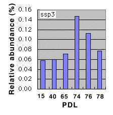 ssp3